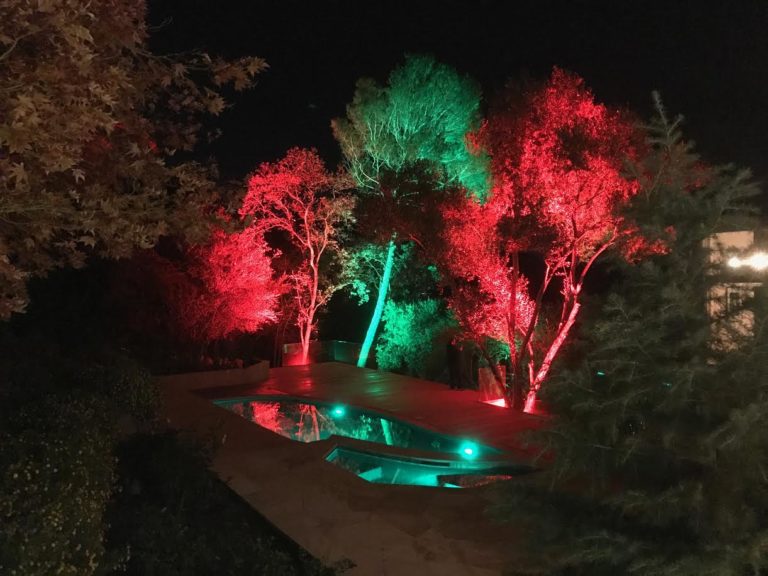 uplit trees - Bay Area Event Lights